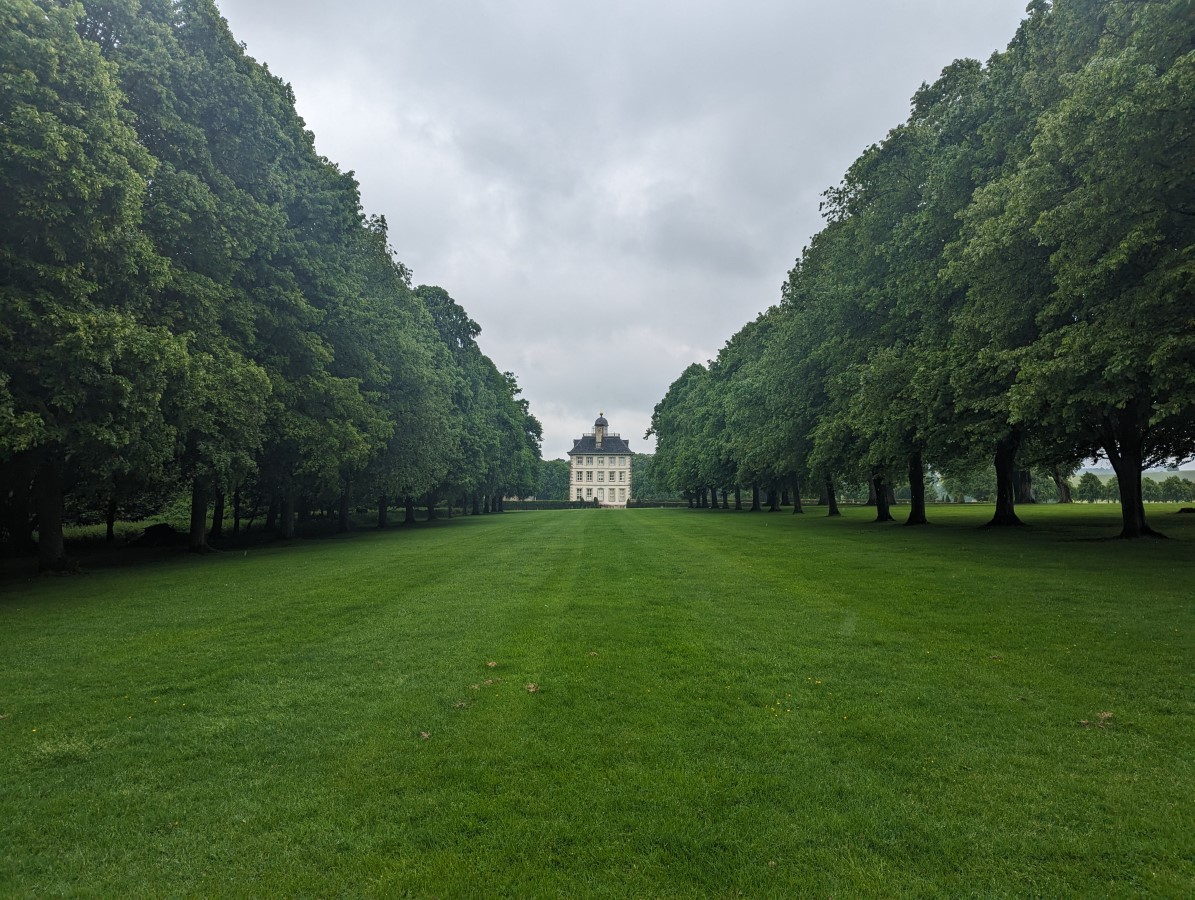 Ashdown - Woodland | AccessAble