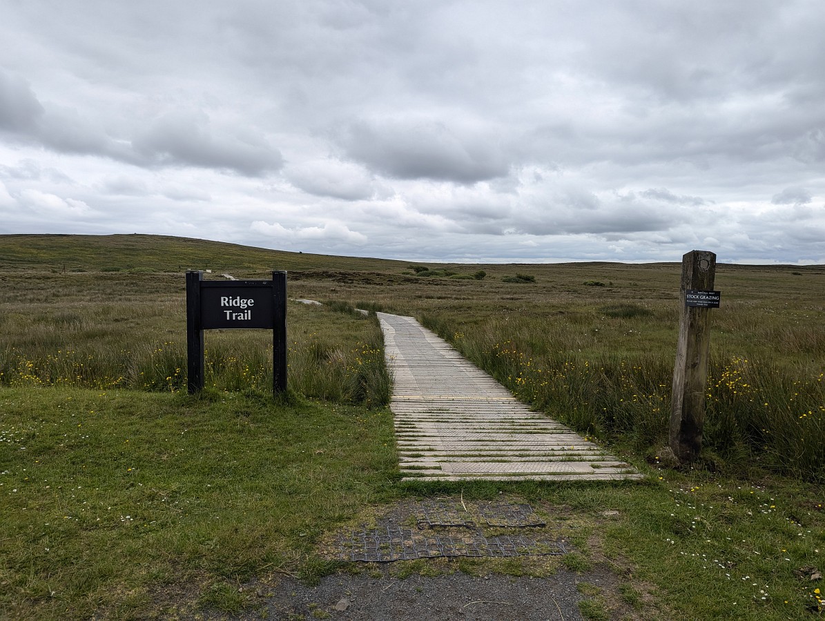 Divis and the Black Mountain - The Black Mountain | AccessAble