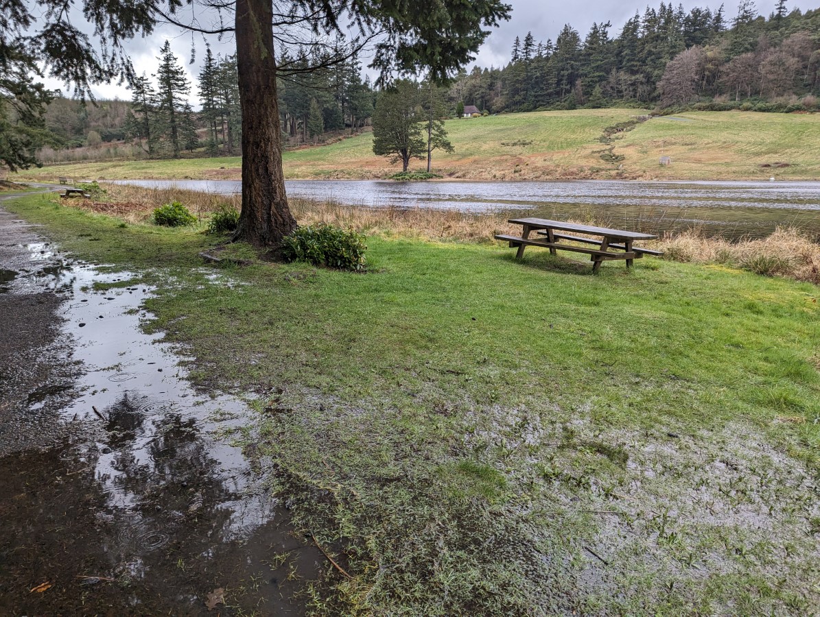 Cragside - Lady's Walk | AccessAble