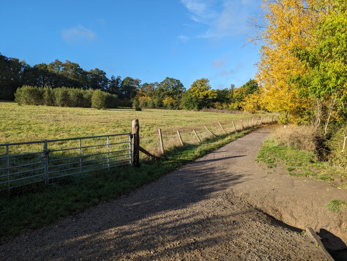 Petts Wood and Hawkwood - National Trust | AccessAble