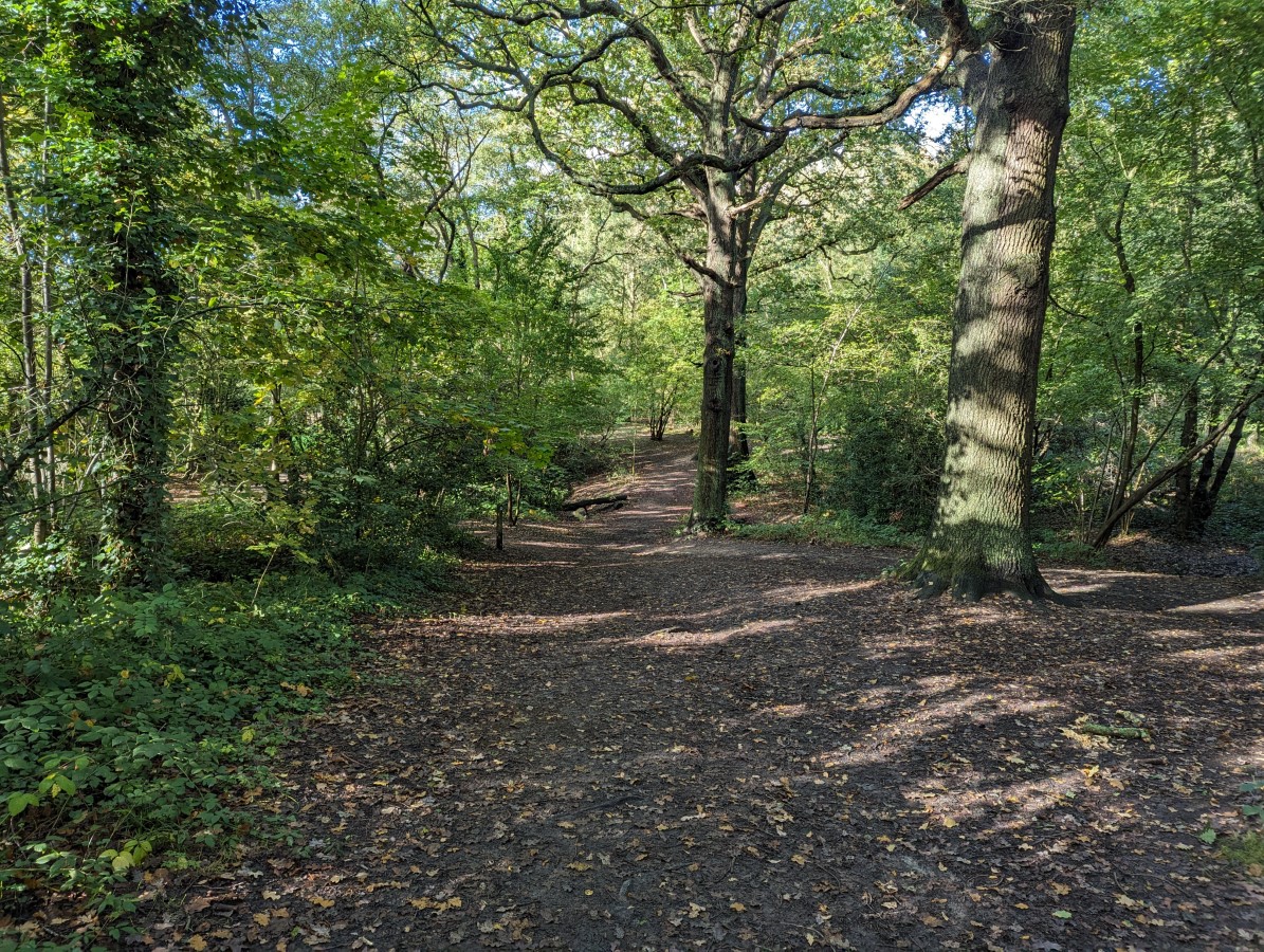 Petts Wood and Hawkwood - National Trust | AccessAble