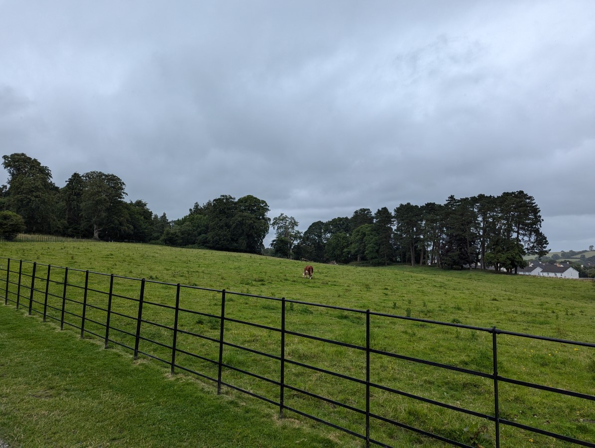 Derrymore House - Estate - National Trust | AccessAble