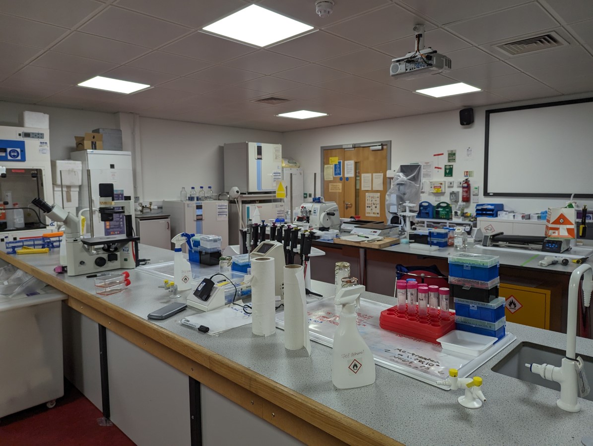 Hodgkin Laboratory | AccessAble