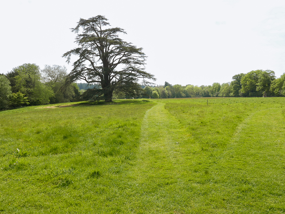 Woolbeding Gardens - The Longwalk | AccessAble