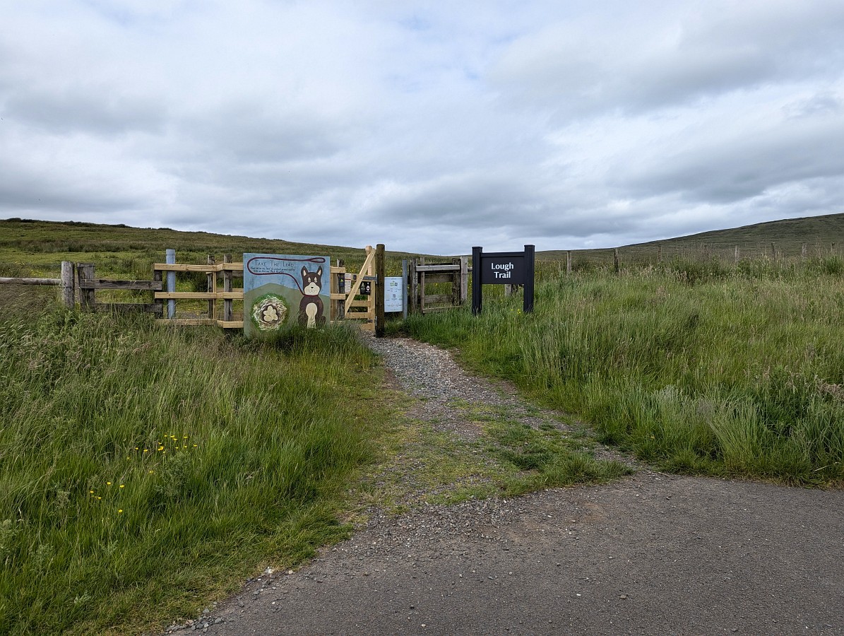 Divis and the Black Mountain - Lough Trail | AccessAble