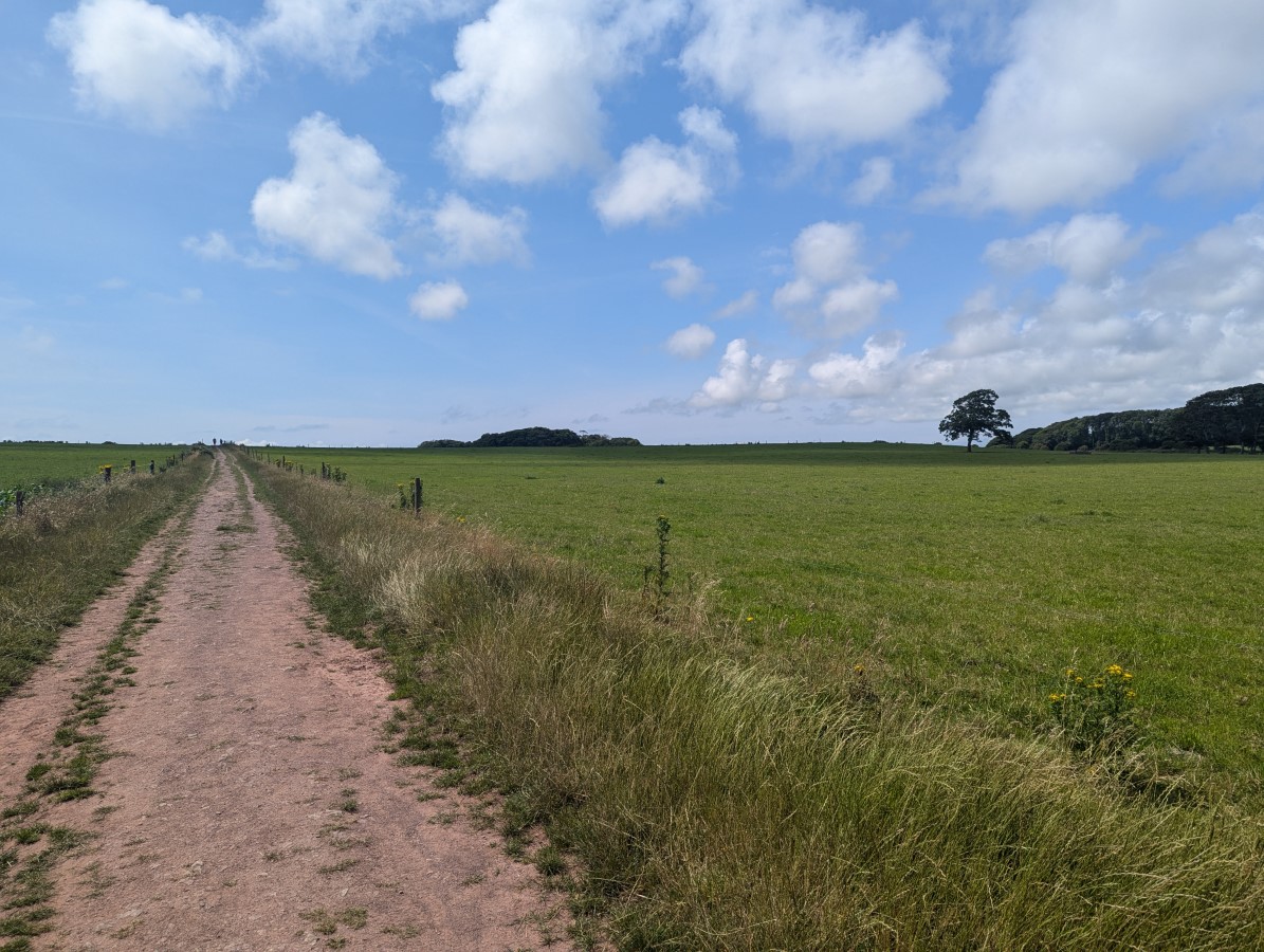 Stackpole Estate - Stackpole Quay | AccessAble