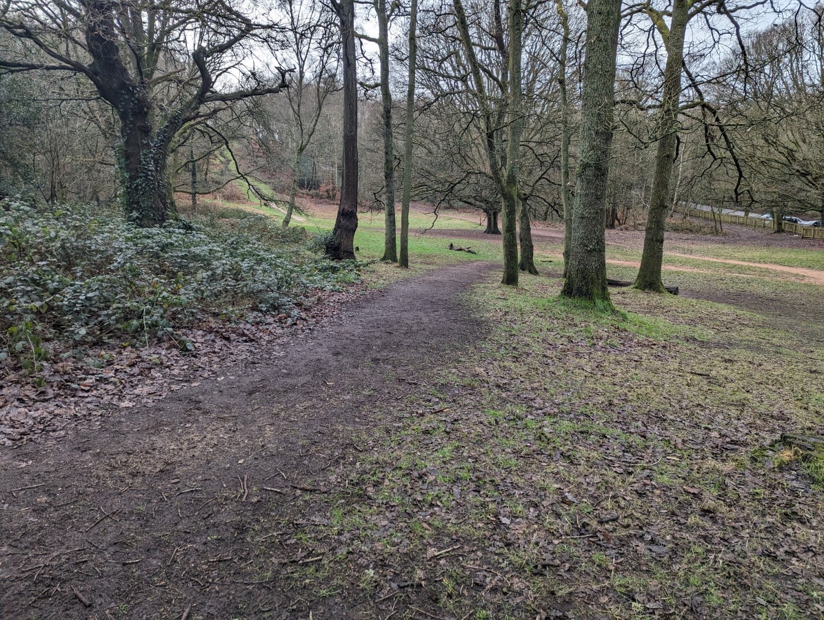 Kinver Edge and the Rock Houses - Countryside | AccessAble