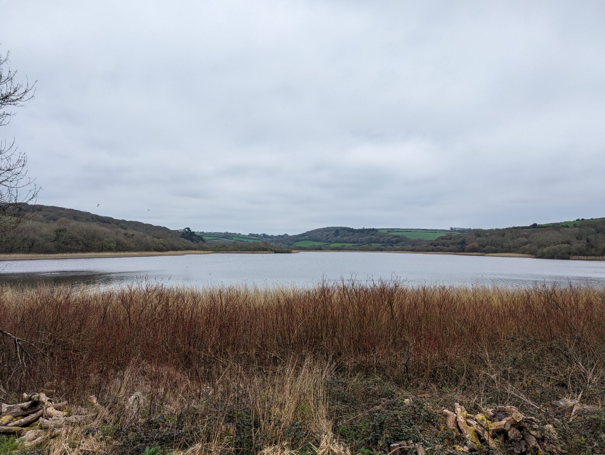 Penrose - Parking and Arrival | AccessAble