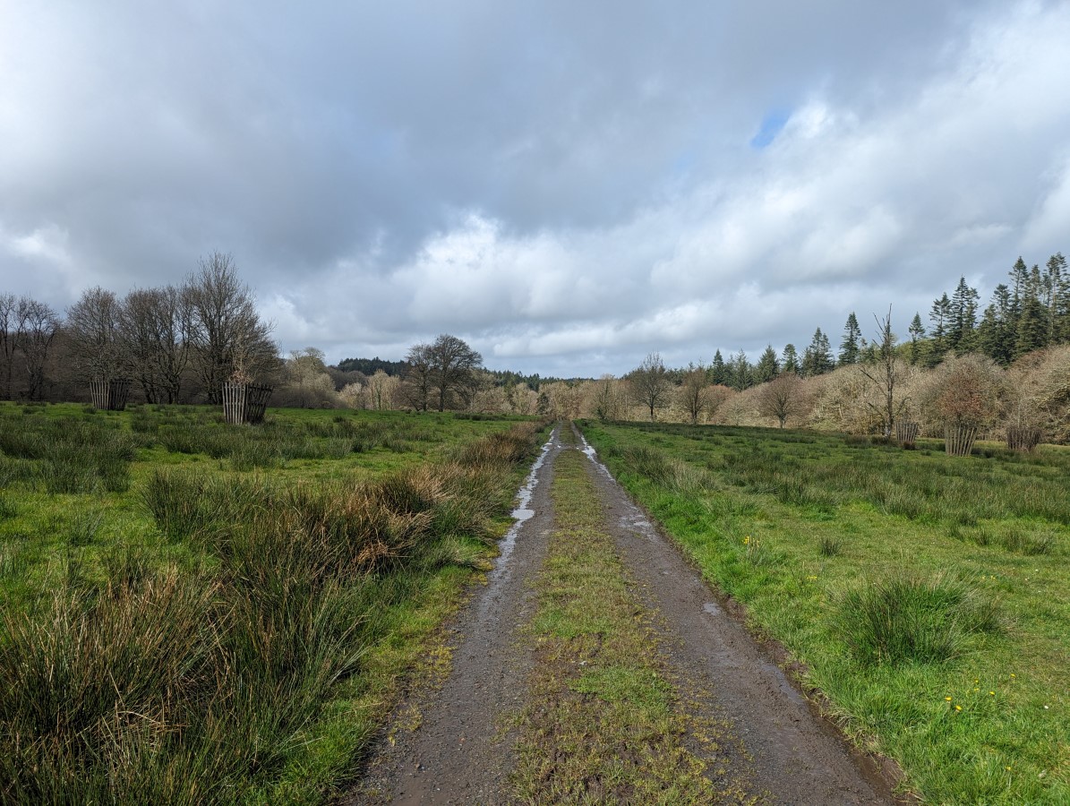 Dunsland - National Trust | AccessAble