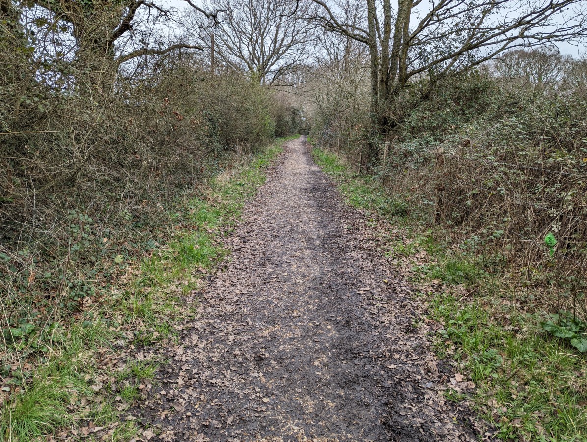 Curbridge Nature Reserve - National Trust | AccessAble