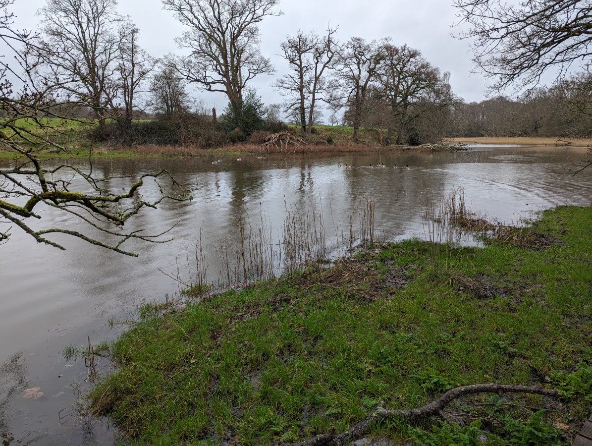 Curbridge Nature Reserve - National Trust | AccessAble