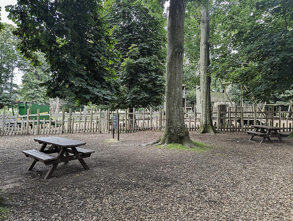 Holkham Hall - Woodland play area | AccessAble