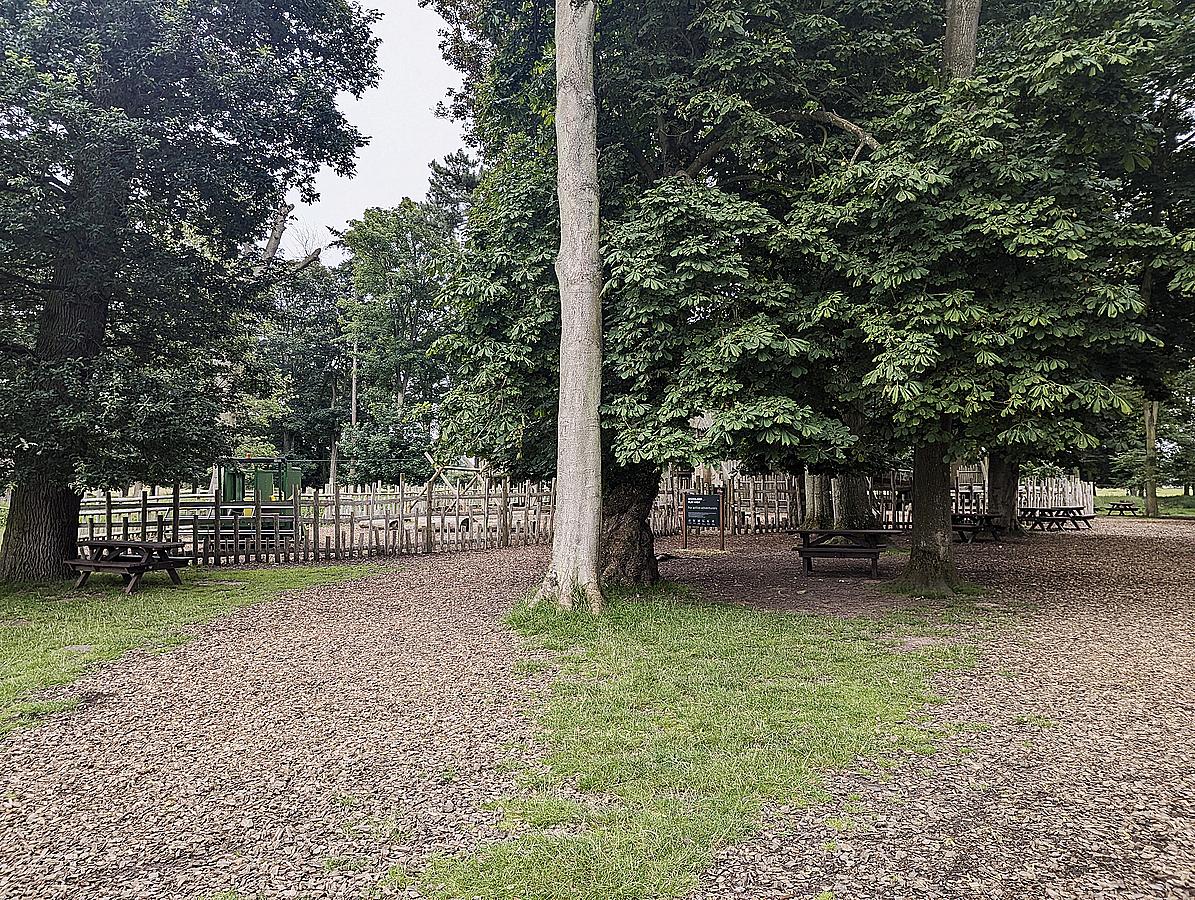 Holkham Hall - Woodland play area | AccessAble