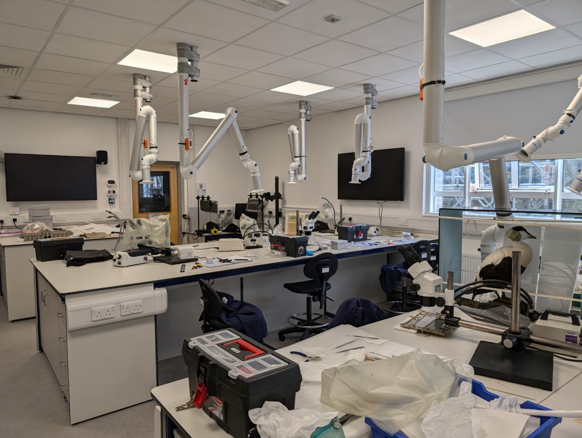 D233 - Conservation Laboratory | AccessAble