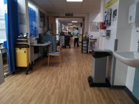 Windsor Ward | AccessAble