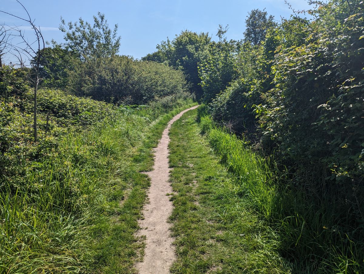 Flatford - Countryside | AccessAble