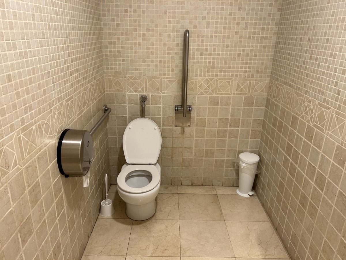 Globales Almirante Farragut - Toilets with Adaptations for Disabled ...