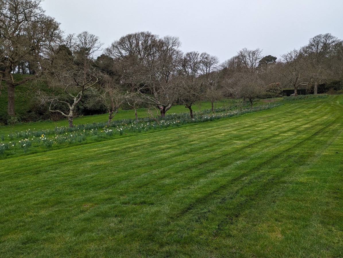 Mottistone Gardens and Estate - Gardens | AccessAble