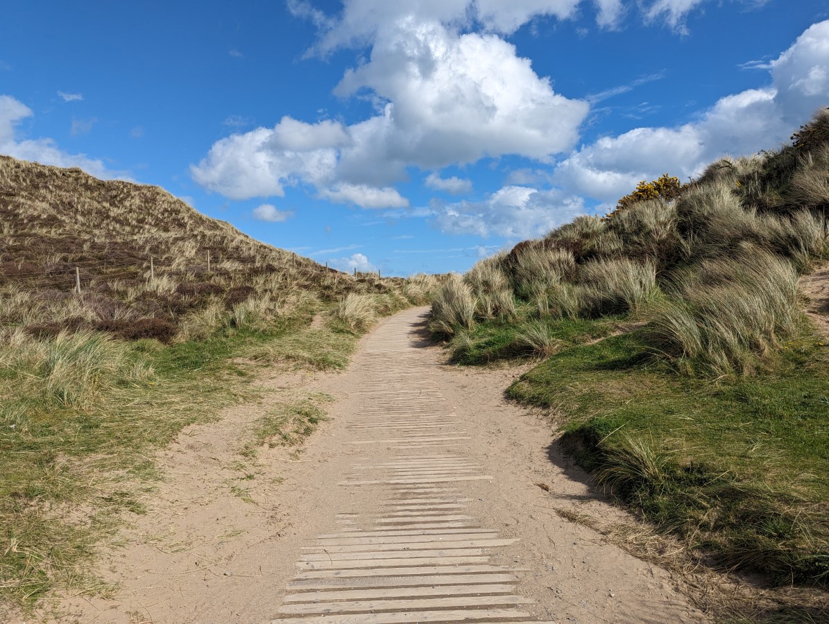 Murlough National Nature Reserve - Nature Reserve - National Trust ...