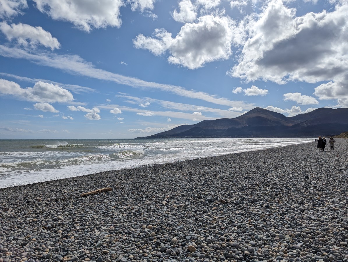 Murlough National Nature Reserve - Nature Reserve - National Trust ...