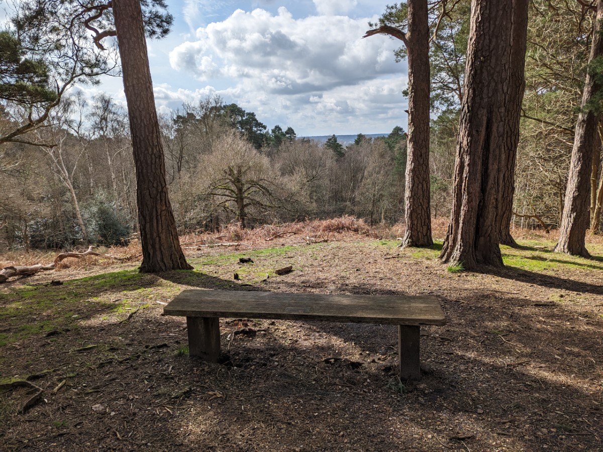 Finchampstead Ridges - National Trust | AccessAble