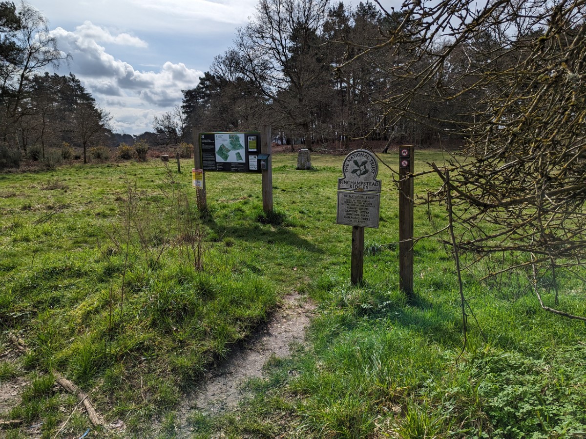Finchampstead Ridges - National Trust | AccessAble
