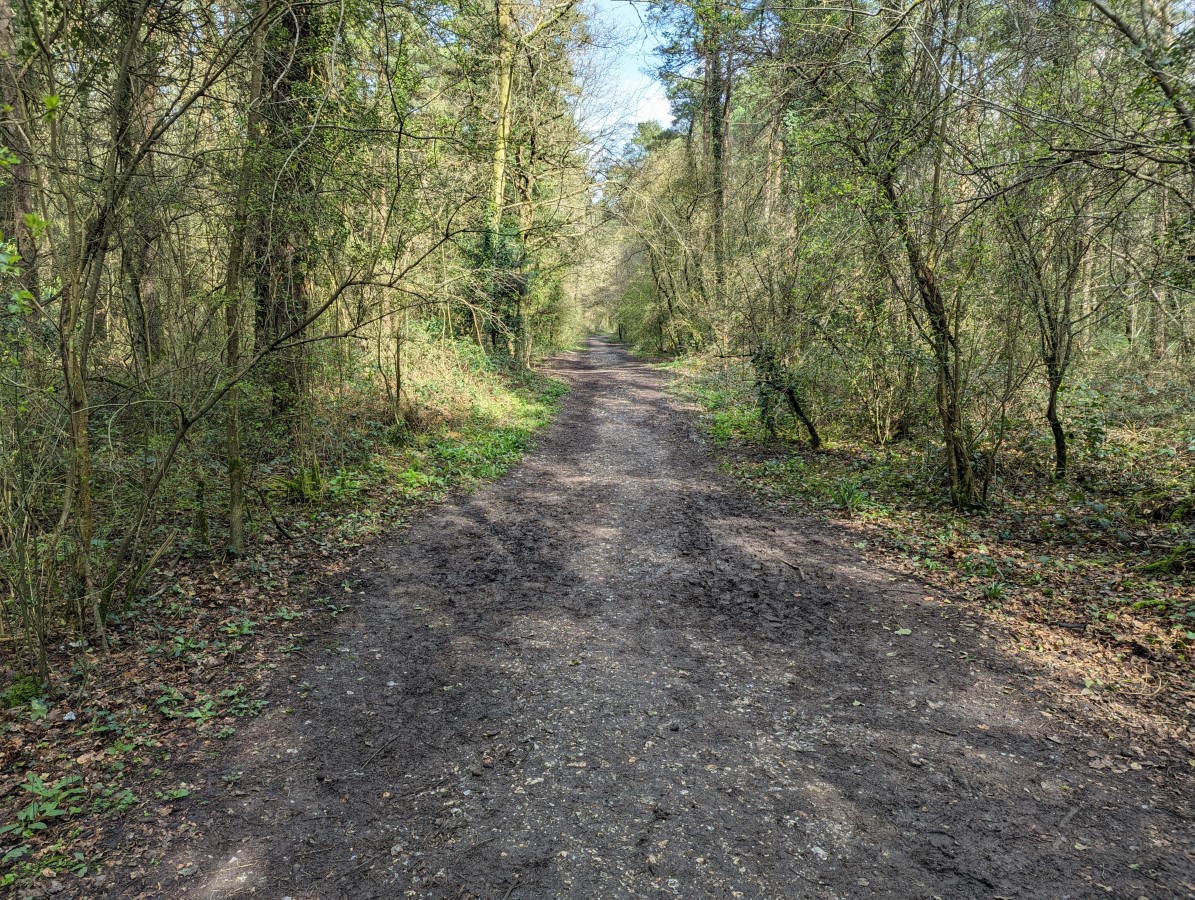 Slindon Estate - National Trust | AccessAble