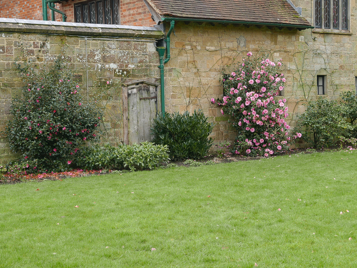 Chartwell - Lady Churchill's Rose Garden | AccessAble