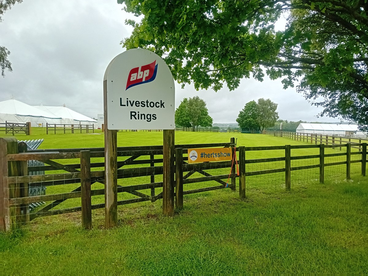 Hertfordshire County Show | AccessAble