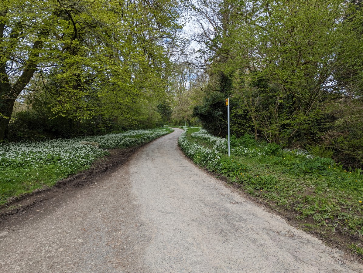 Lanhydrock - Respryn | AccessAble