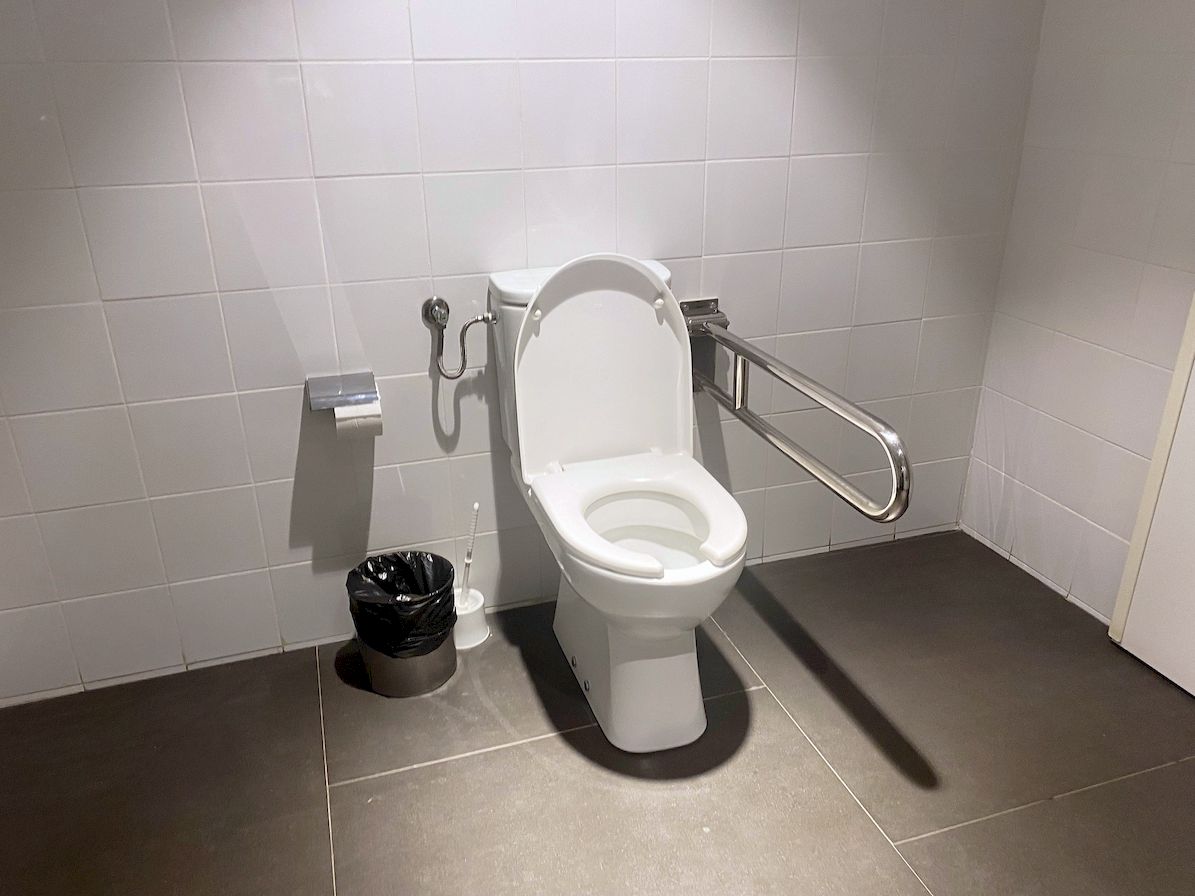 Abora Continental by Lopesan - Toilets with Adaptations for Disabled ...