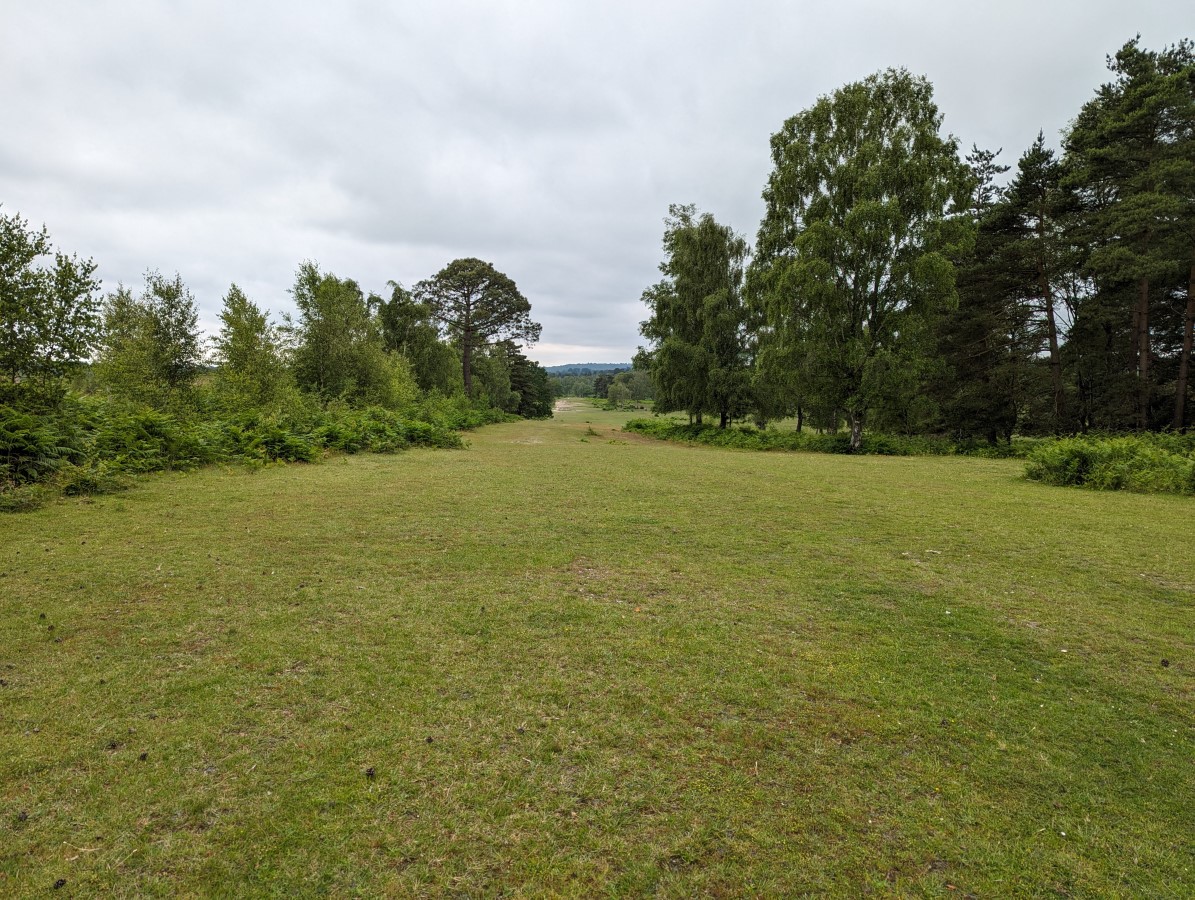 New Forest Commons and Foxbury - National Trust | AccessAble
