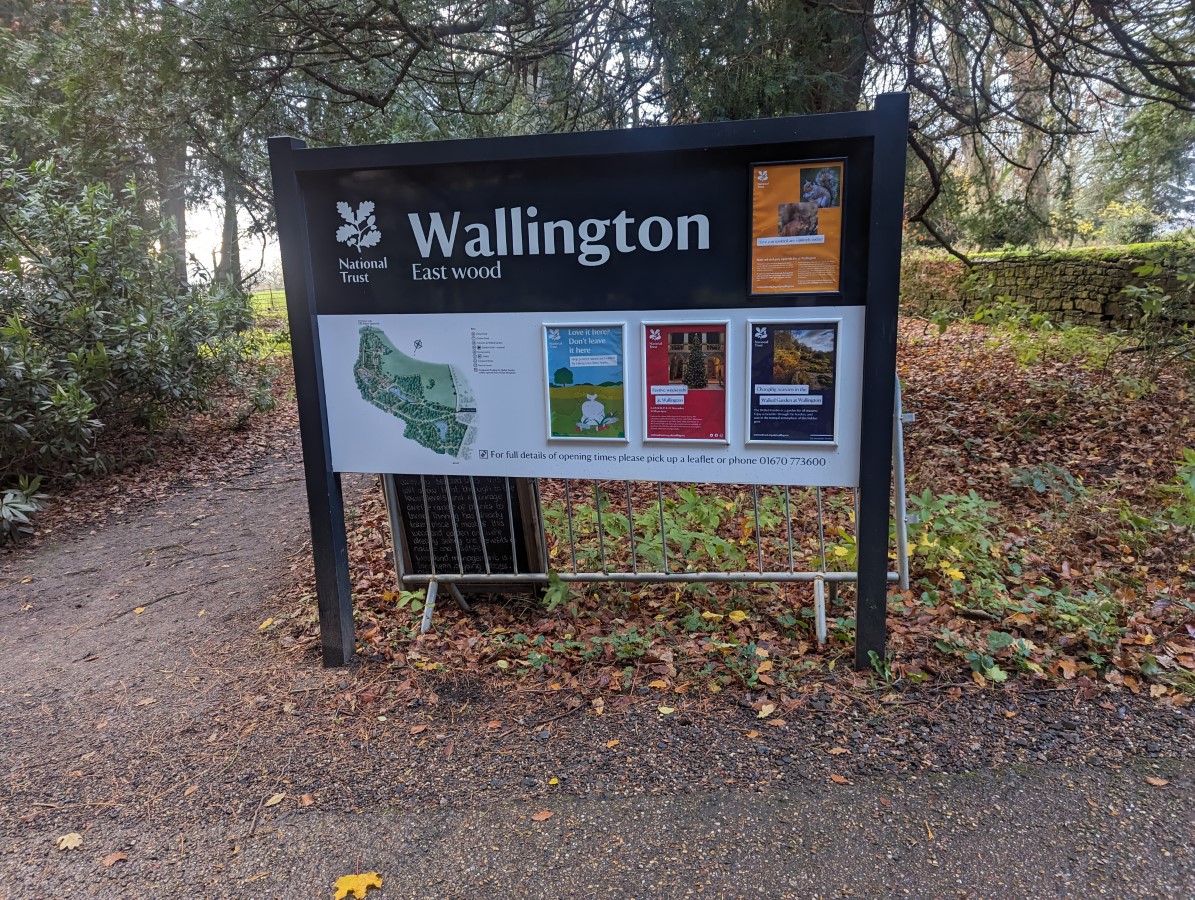 Wallington - East Wood - National Trust | AccessAble