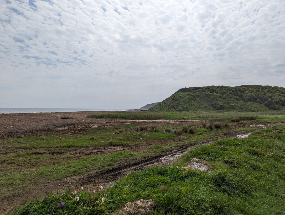 Durham Coast - Coastline - National Trust | AccessAble