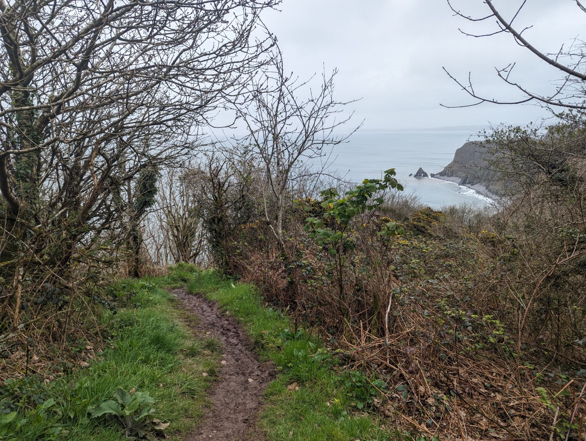 Bideford Bay and Hartland - National Trust | AccessAble