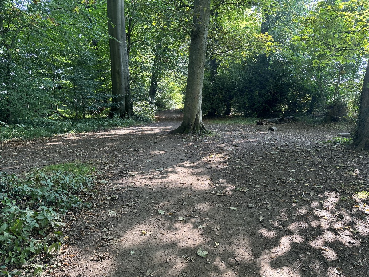 Hardwick - Parklands | AccessAble