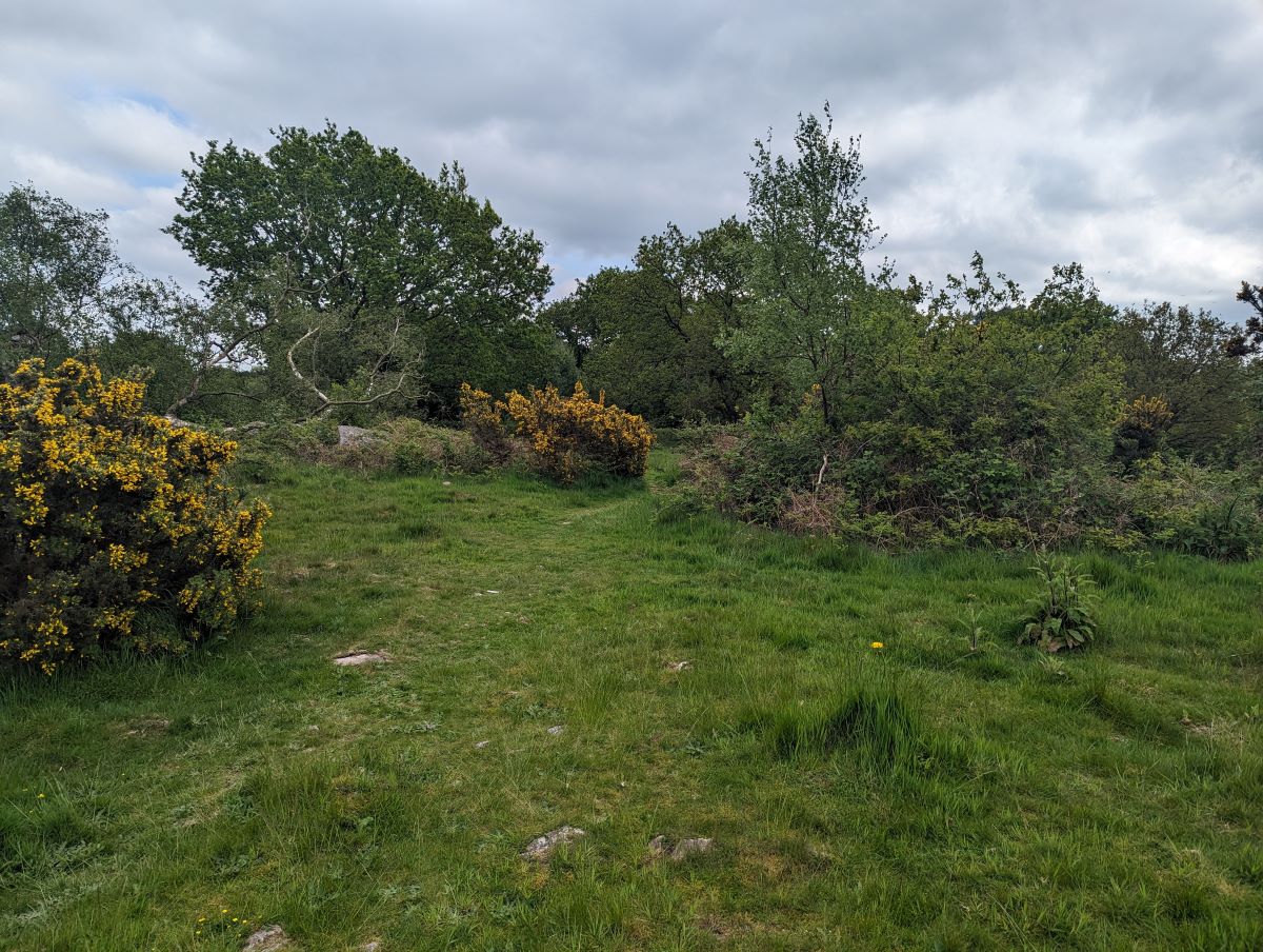 Ulverscroft Nature Reserve - Countryside - National Trust | AccessAble