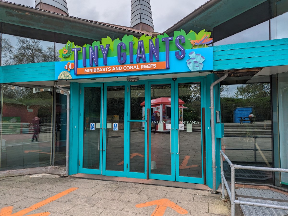 London Zoo - Tiny Giants | AccessAble