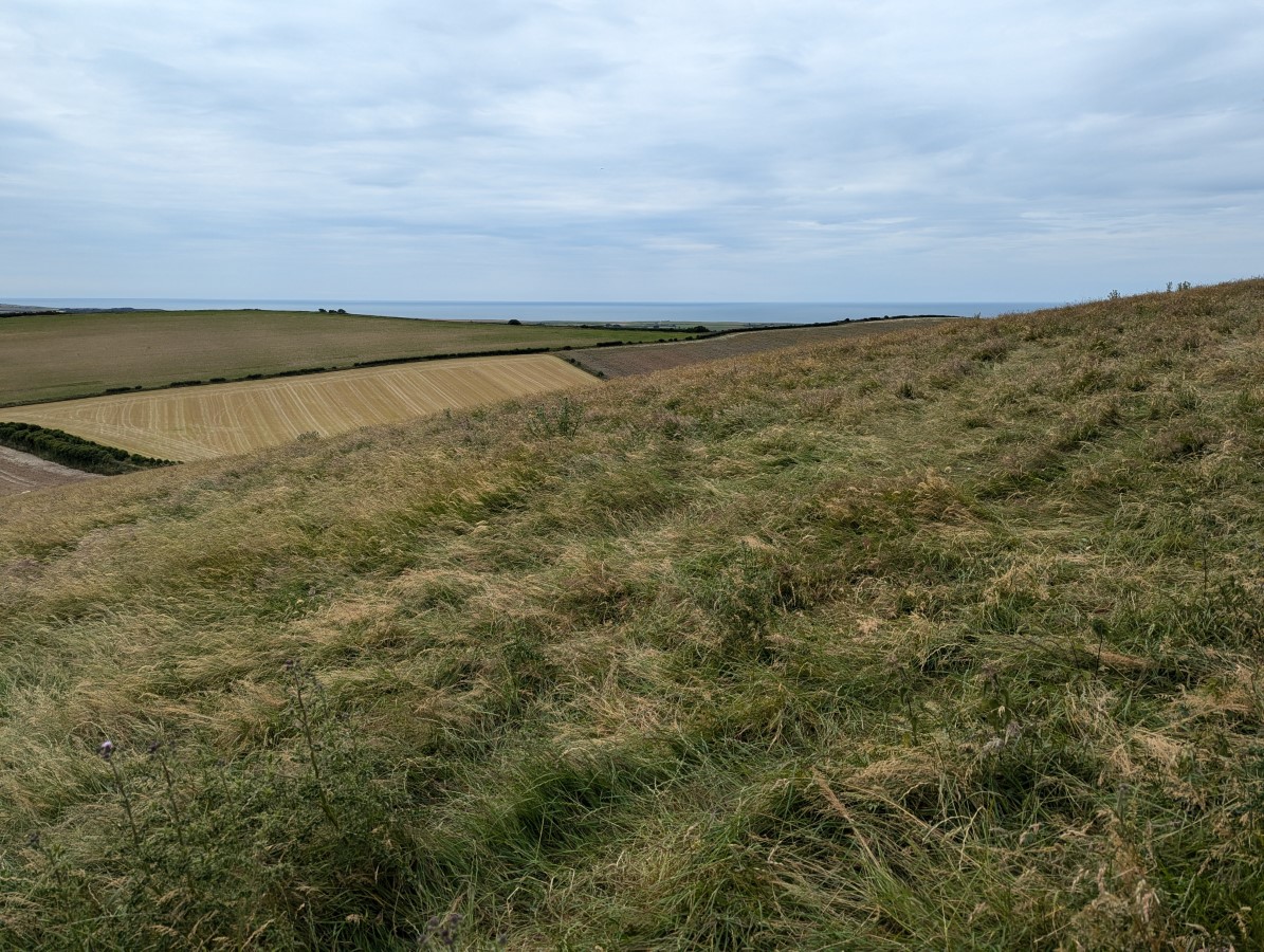 Chillerton Down - National Trust | AccessAble