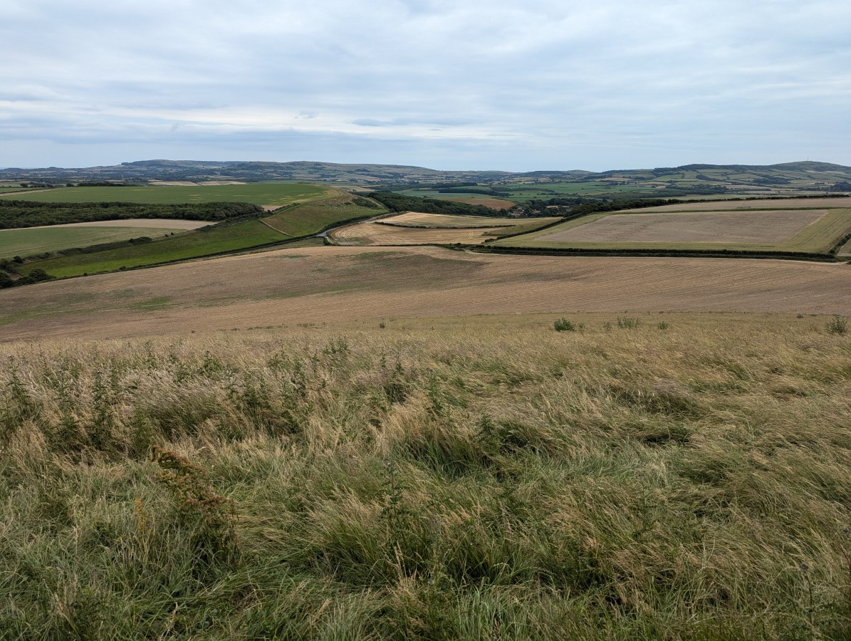 Chillerton Down - National Trust | AccessAble
