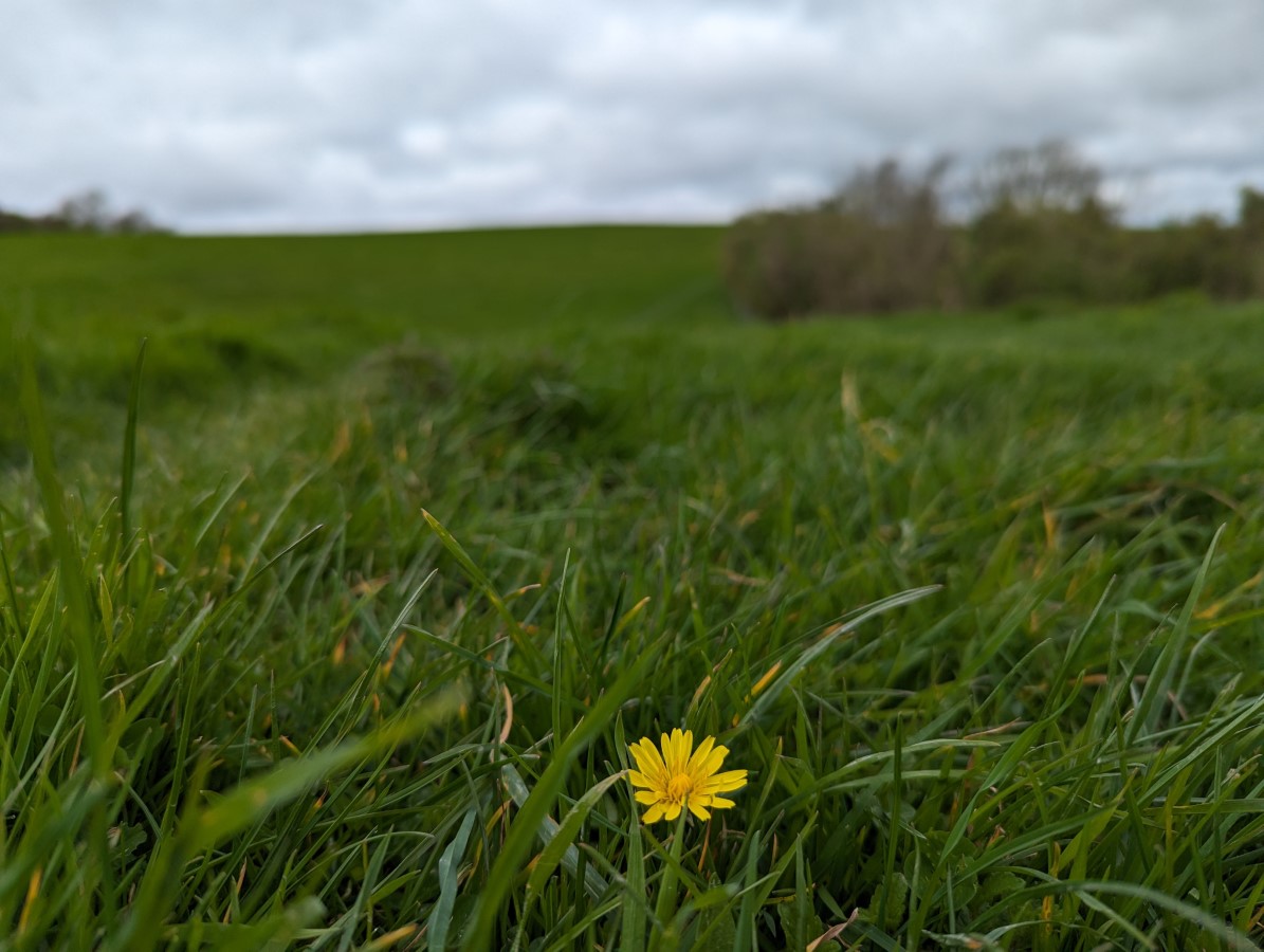 Sundon Hills Country Park - National Trust | AccessAble