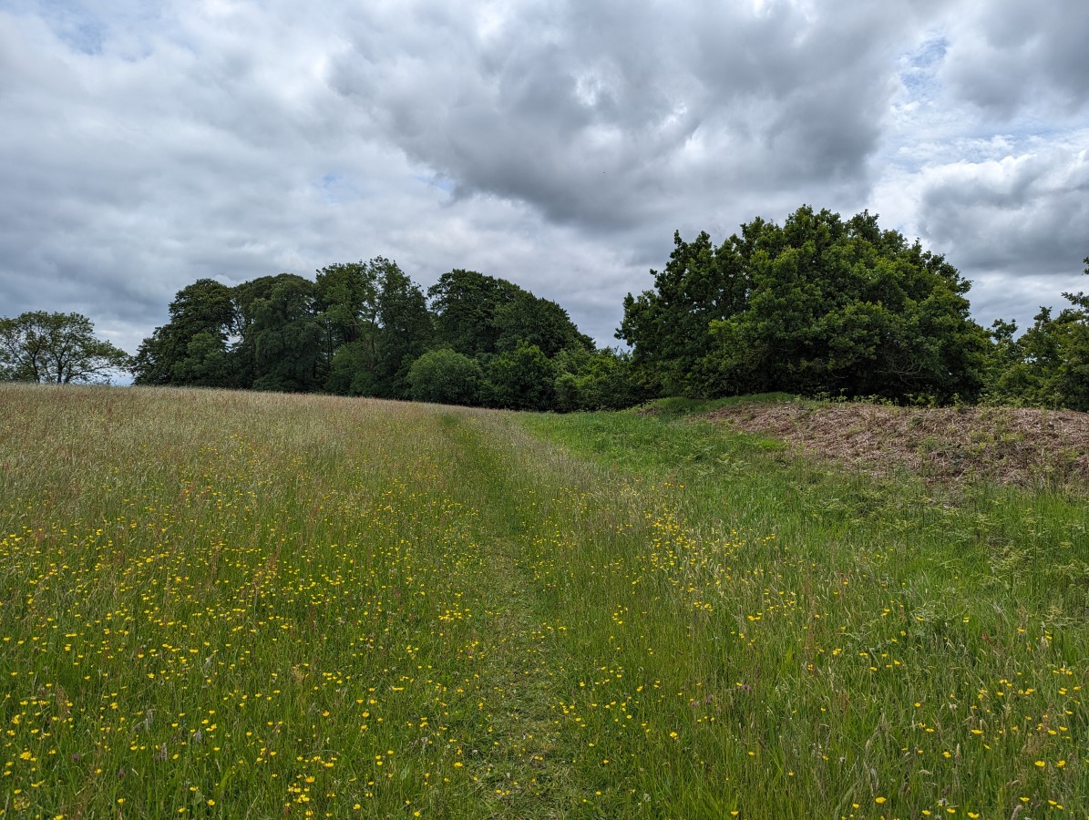 Dumpdon Hill Fort - National Trust | AccessAble