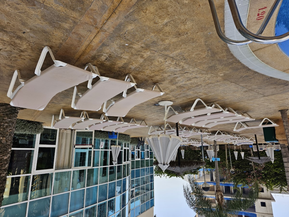 Hotel Flamingo Oasis - Outdoor Pool | AccessAble