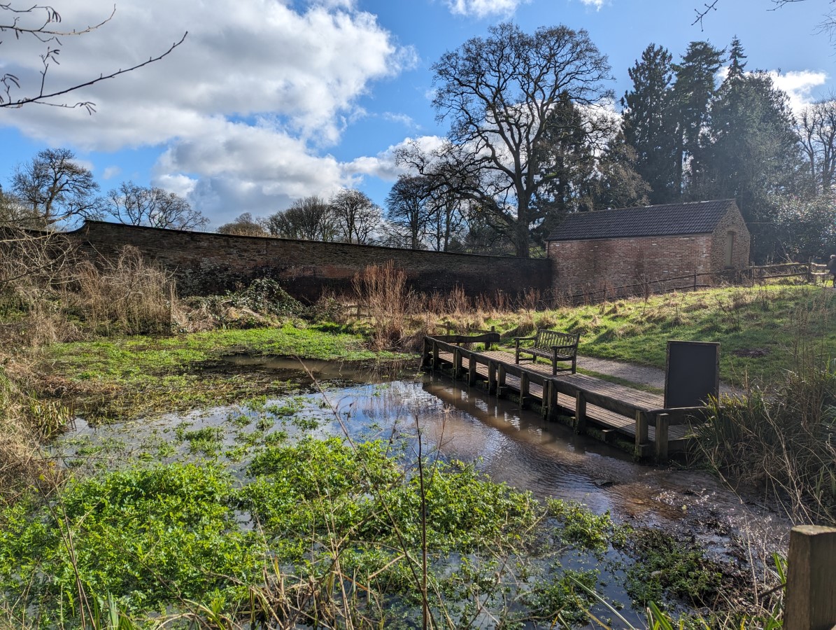 Fyne Court - Garden | AccessAble