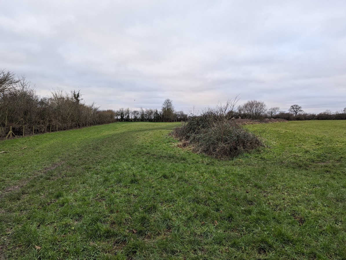 Sutton Lane Meadows - National Trust | AccessAble