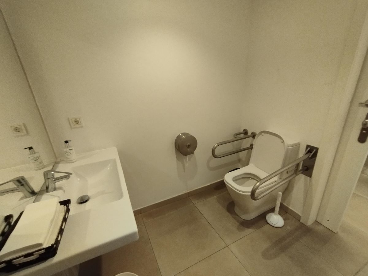 TUI BLUE Suite Princess - Toilets with Adaptations for Disabled People ...