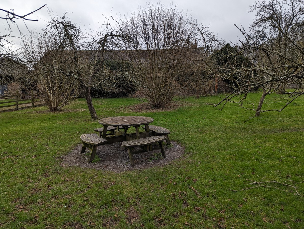 Horner Wood - Woods - National Trust | AccessAble