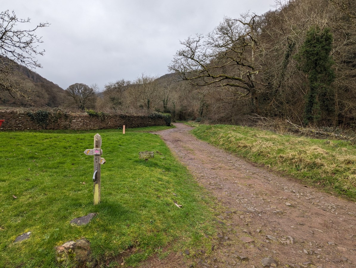 Horner Wood - Woods - National Trust | AccessAble