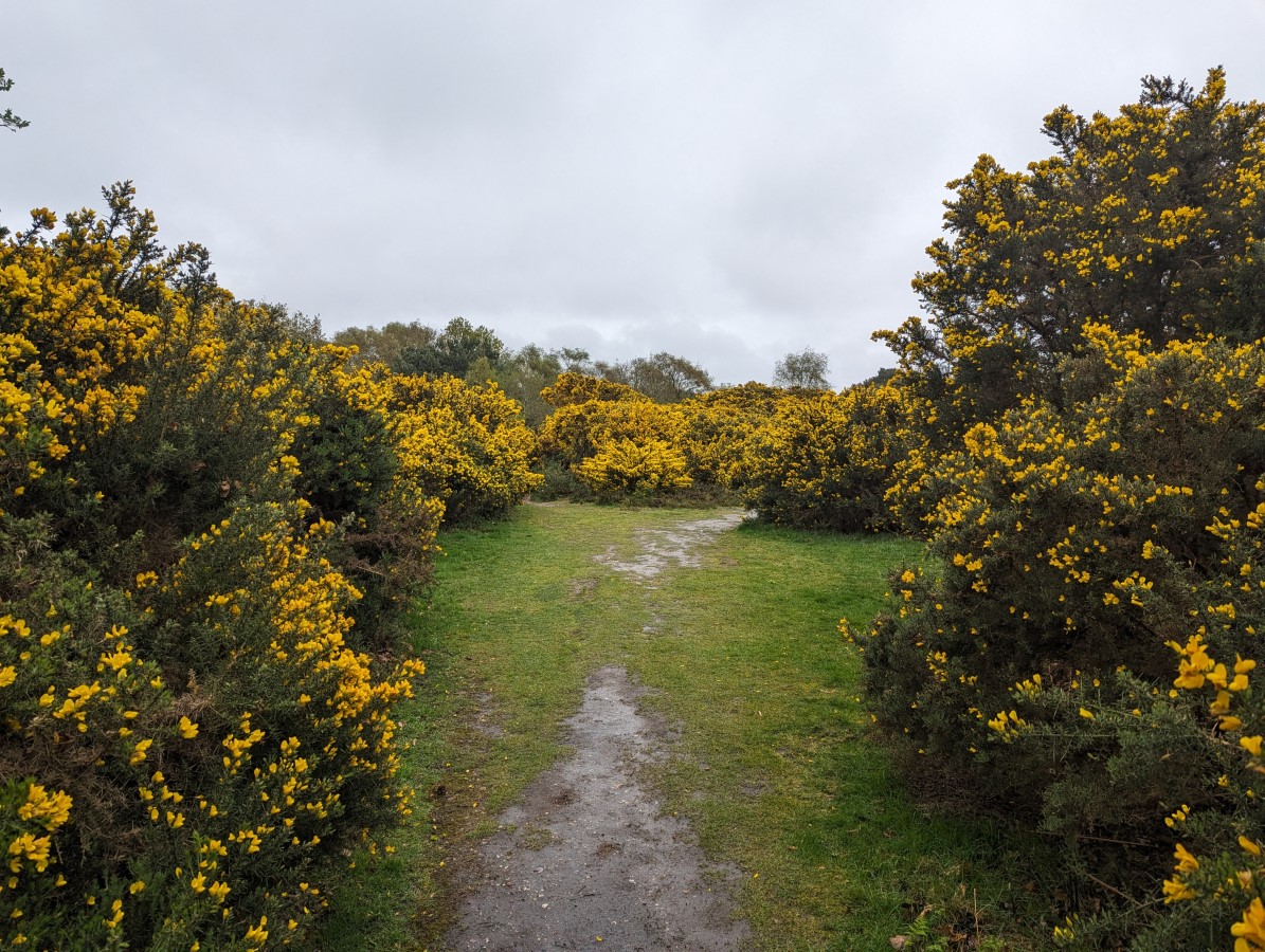 West Runton and Beeston Regis Heath | AccessAble