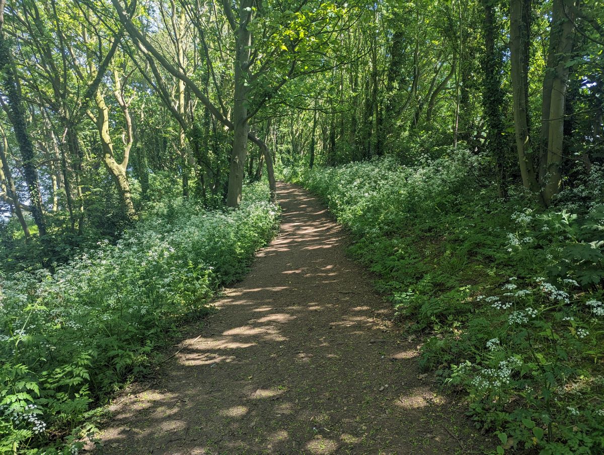 Pin Mill - Countryside - National Trust | AccessAble